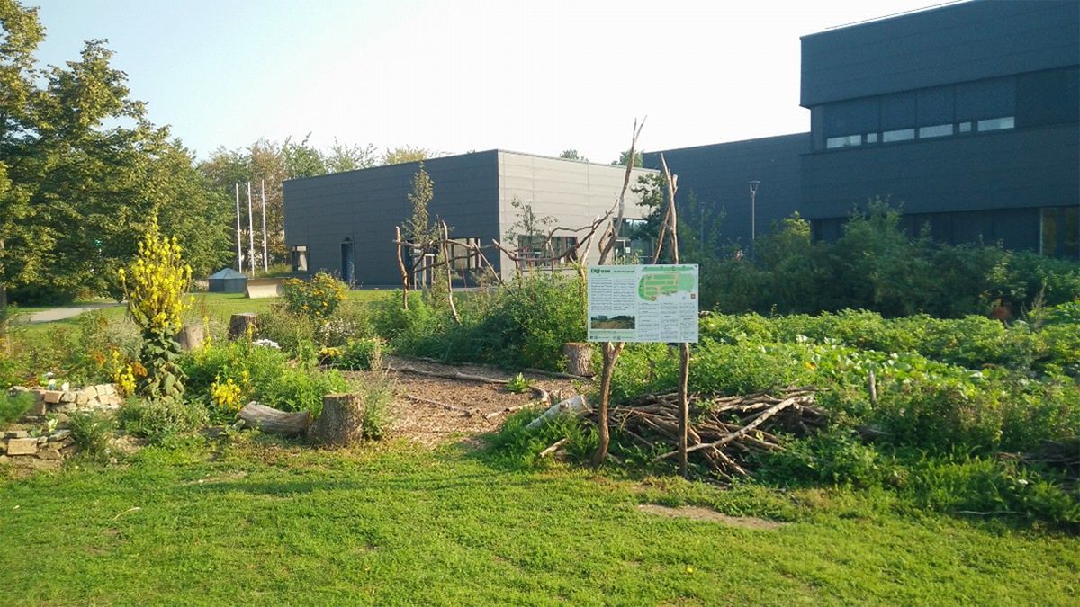 BOase Hochschulgarten