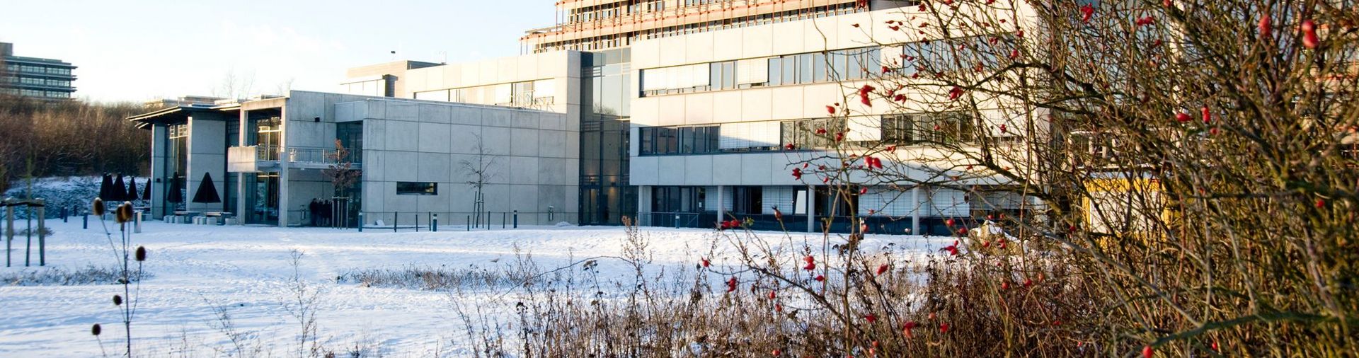 Hochschule Bochum: Interdisziplinär & nachhaltig studieren